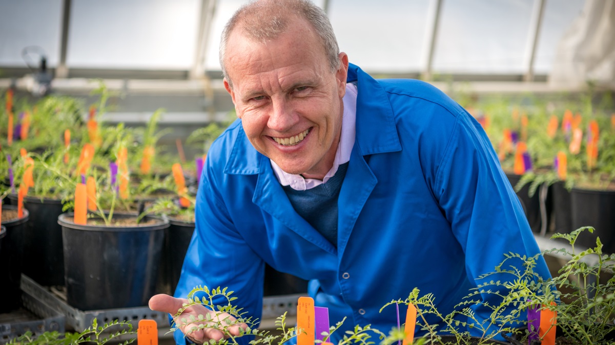 The dish on future protein: meet Crispin Howitt - CSIRO