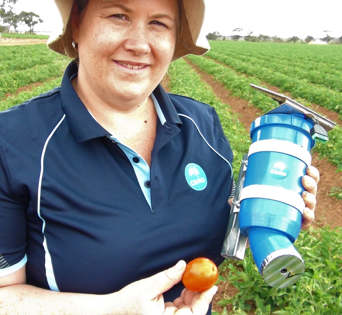 WaterWise: helping farmers reduce the water footprint of high value ...