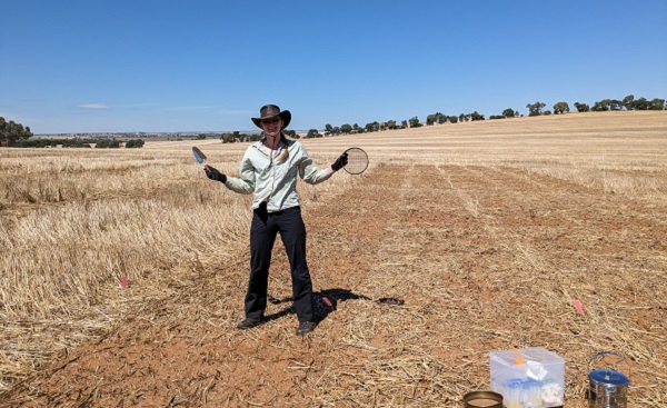 Meet Katia Taylor: sun on the stubble - CSIRO