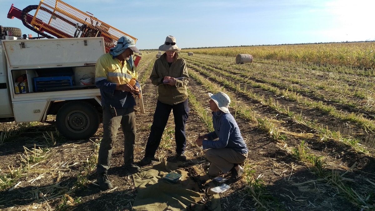 ANSIS - Australian National Soil Information System - CSIRO