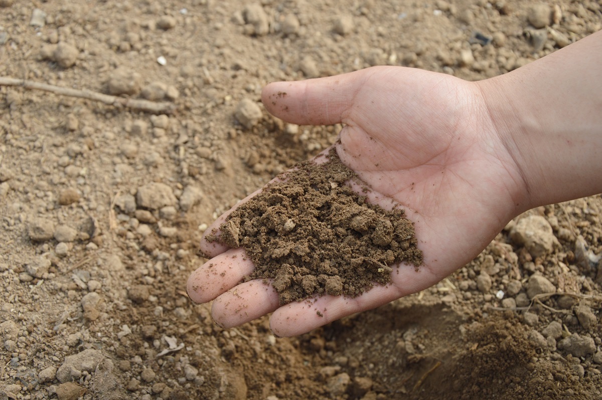 Validating food provenance with soils - CSIRO