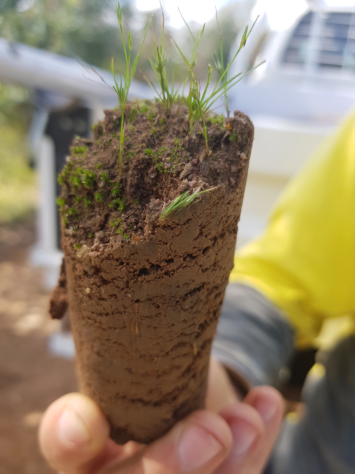 Soil - CSIRO
