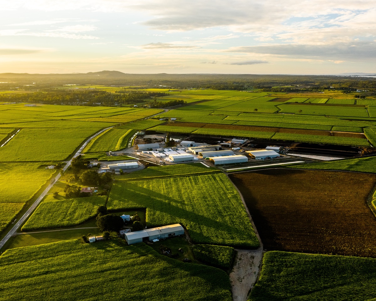 Understanding and navigating global change in our food systems - CSIRO