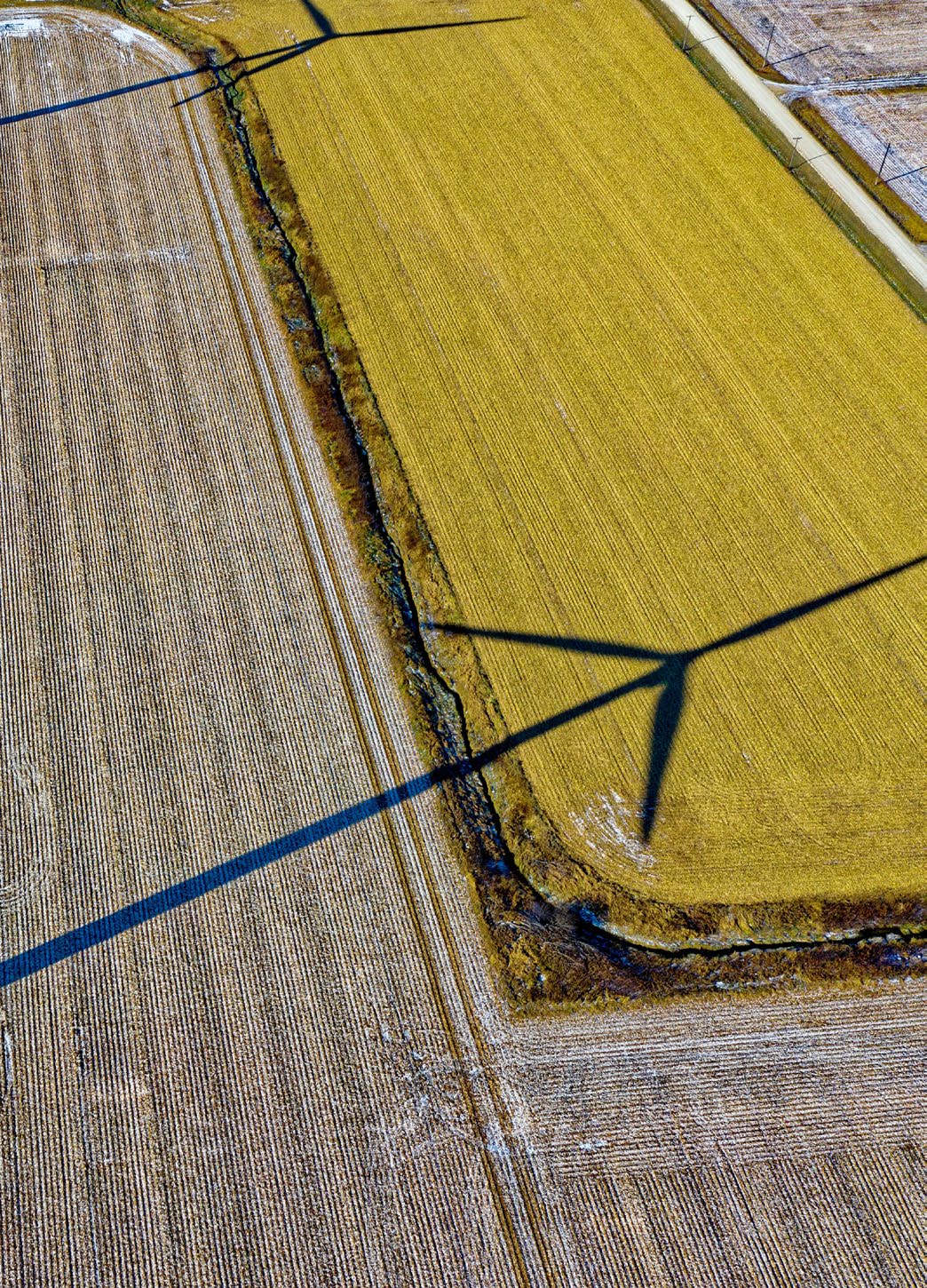 Sustainability - CSIRO