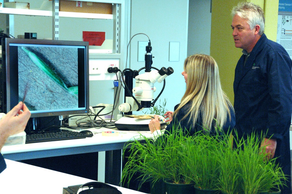 What to expect when working with us - CSIRO