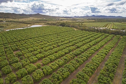 Australia’s Biosecurity Future: Unlocking the next decade of resilience ...