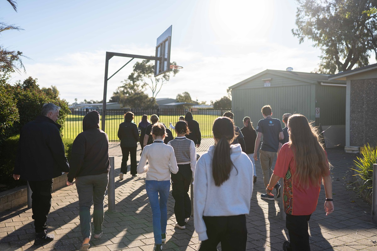 STEM-INSIGHTS: Trellis - CSIRO