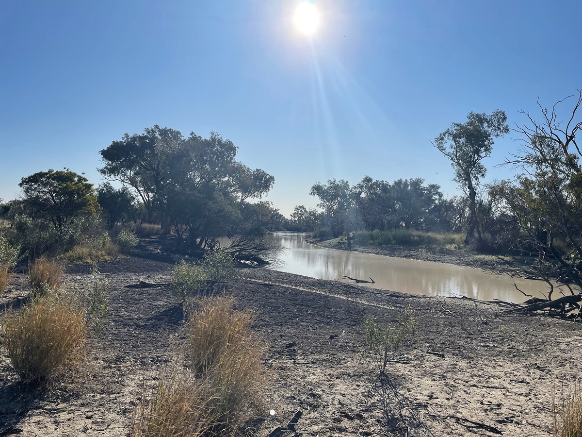 Indigenous Research Methodology - CSIRO
