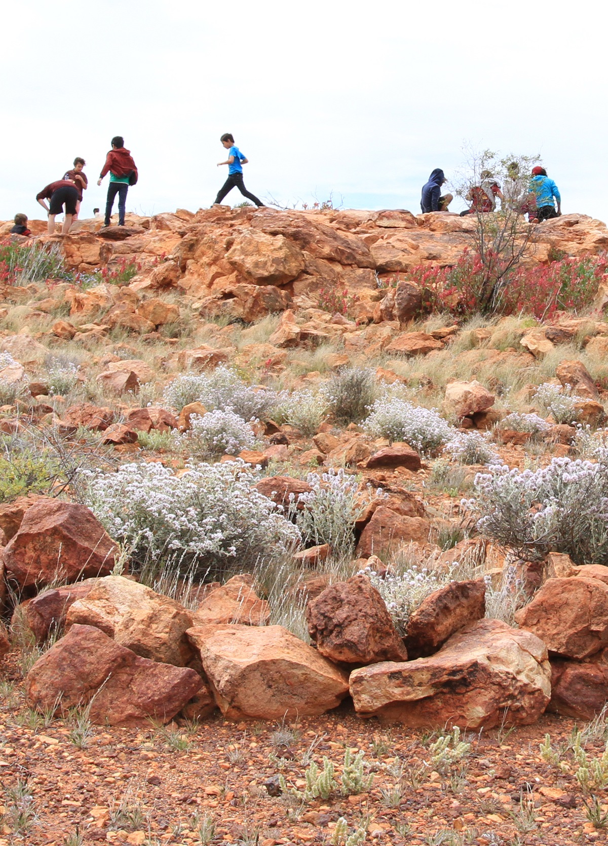 Unlocking critical minerals through the Steve Barnes geochemical data ...