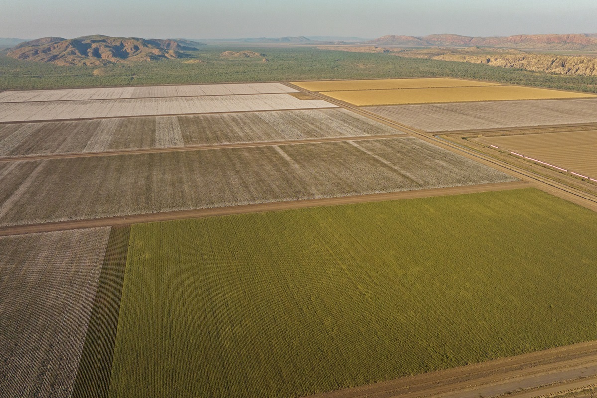 The Natural Capital Handbook – a practical guide to corporate natural ...