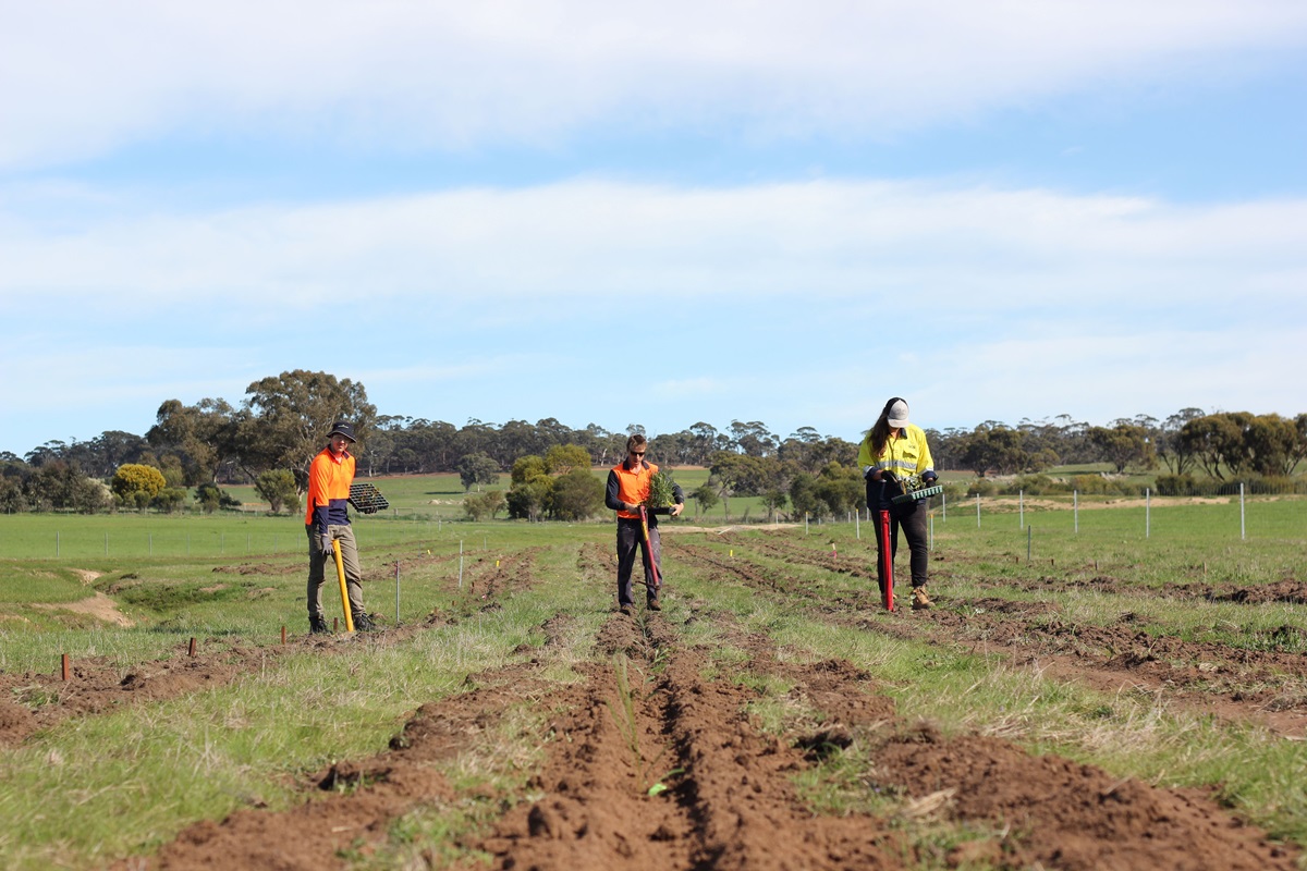 An Ecological Knowledge System to support nature repair in Australia ...