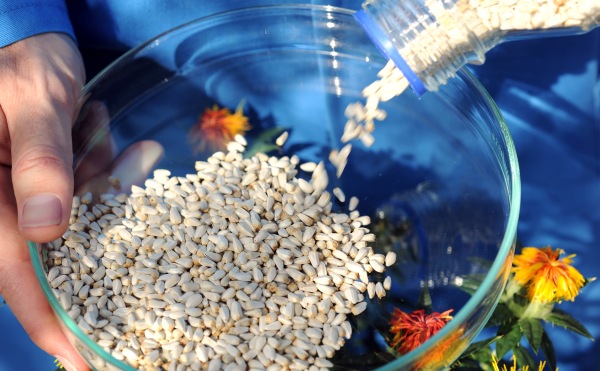 Sustainability at CSIRO - CSIRO