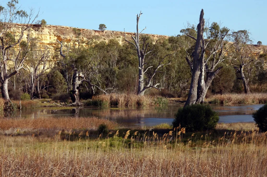 Navigating a path to sustainability - CSIRO