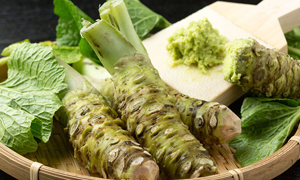 Analysing the potential health benefits of wasabi - CSIRO