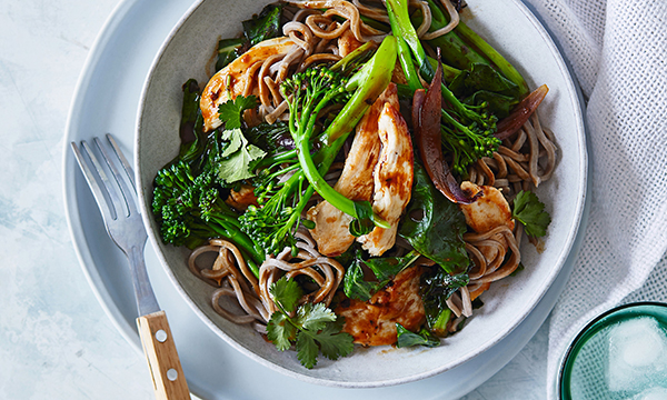 CSIRO Protein Plus Nutrition and Exercise Plan - CSIRO