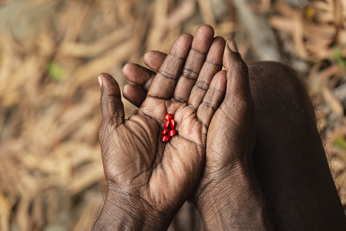 Indigenous Cultural and Intellectual Property Principles - CSIRO