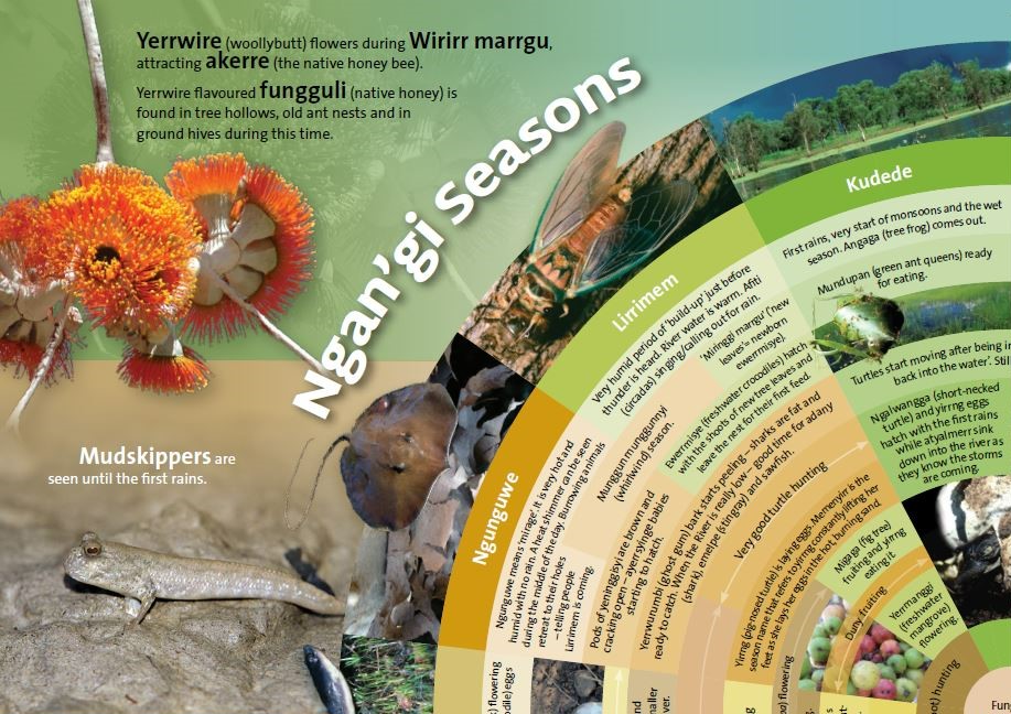 Ngan’gi seasons calendar - CSIRO