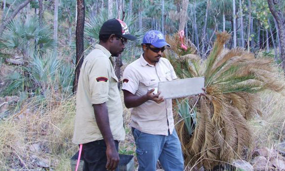Terms and Conditions - CSIRO