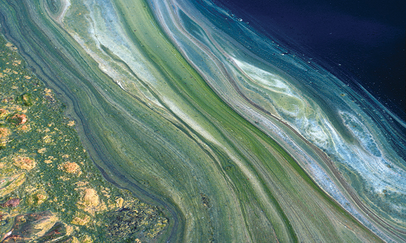 Neotectonics and mineral exploration under cover - CSIRO