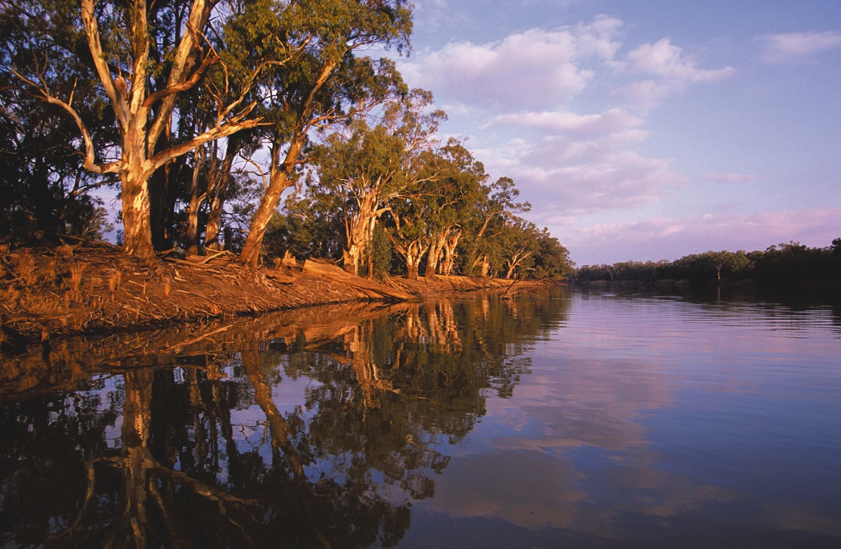 Murray-Darling Basin Sustainable Yields - CSIRO