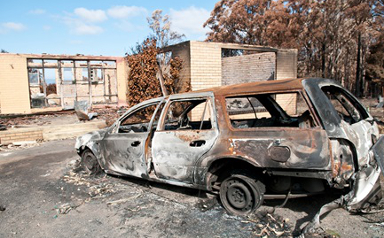 Understanding loss of life in bushfires - CSIRO