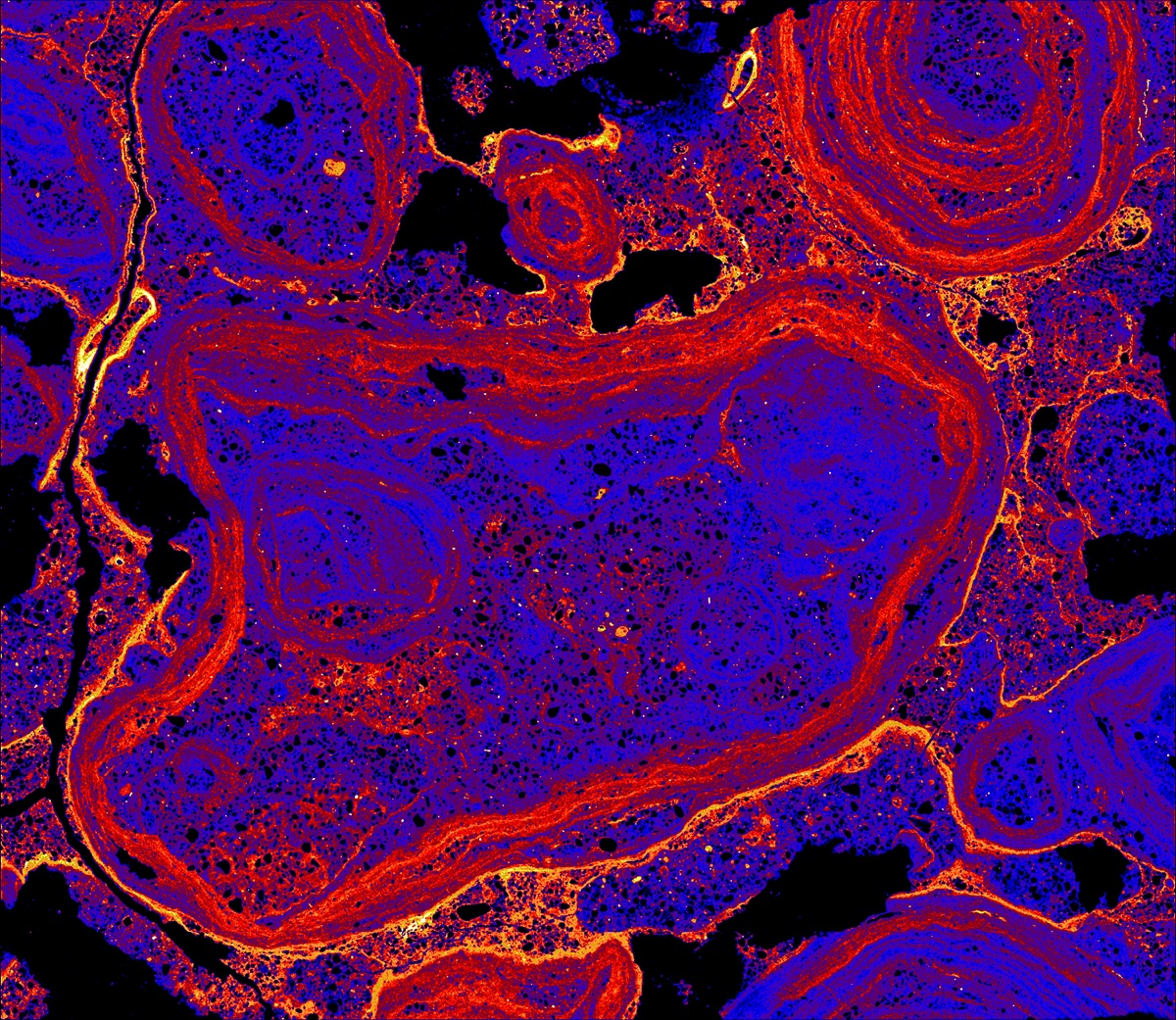 ARCF: Supporting leading-edge research facilities - CSIRO