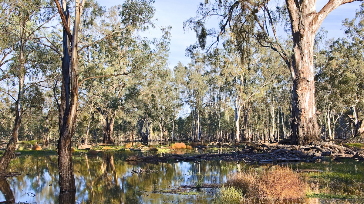 About water banking - CSIRO