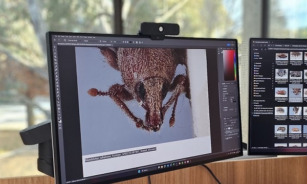 Digitising our natural history collections - CSIRO