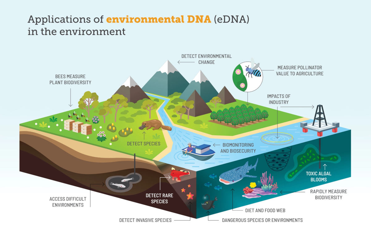 Opportunities in eDNA - CSIRO