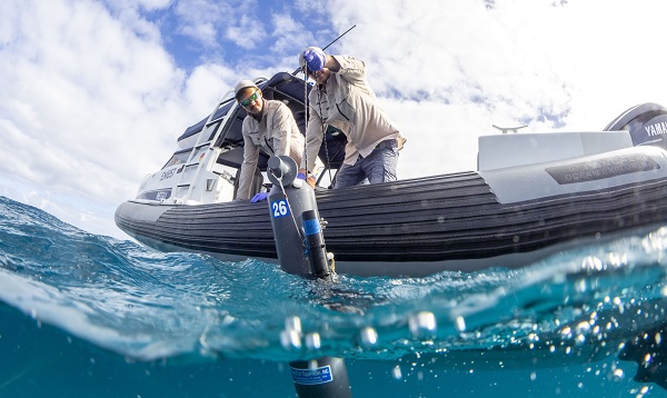 Perfect match: DNA library to help identify species - CSIRO