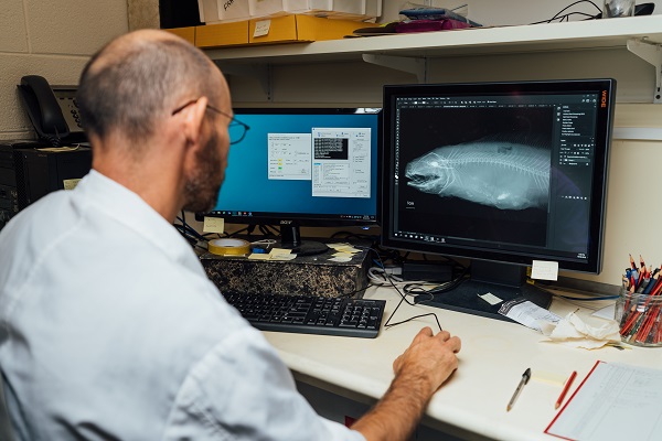 Welcome to Team CSIRO - CSIRO