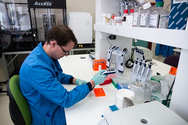 Destructive sampling: insect collection - CSIRO