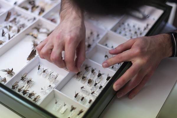 Volunteering at ANIC - CSIRO