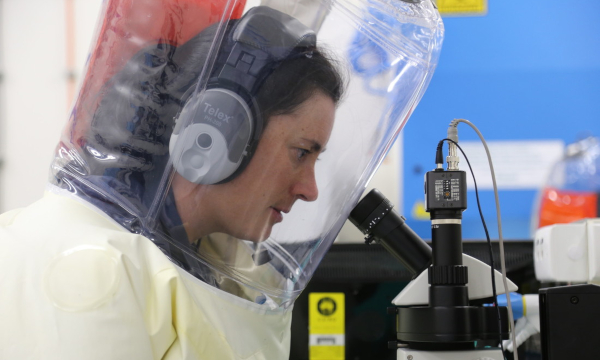 Preclinical research development and evaluation - CSIRO