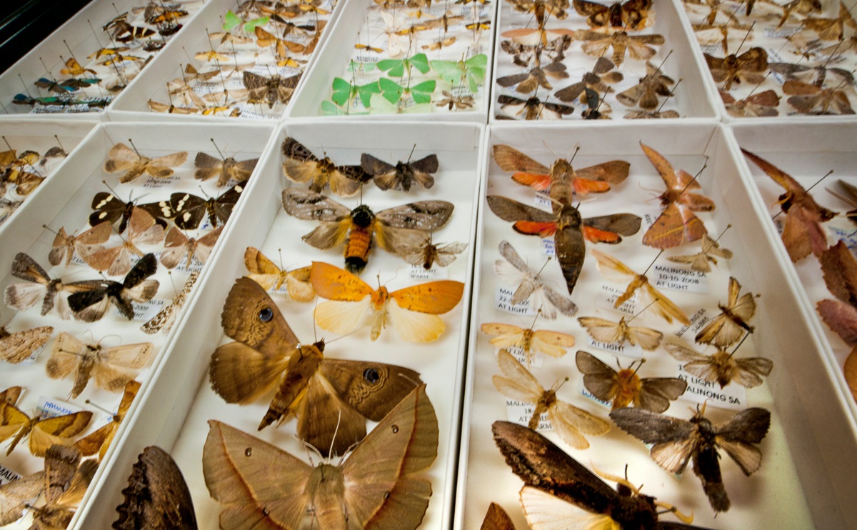 CSIRO and the ANU launch biodiversity research centre - CSIRO