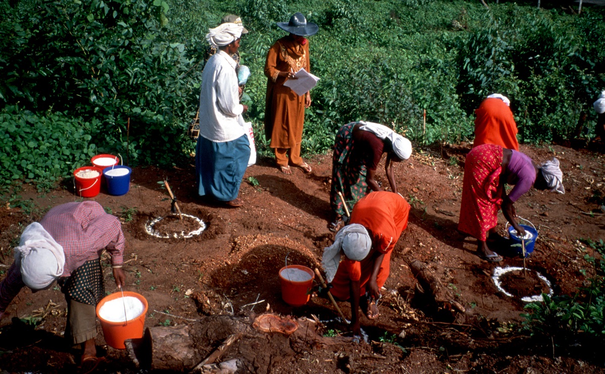 Adapting to change around the Indian Ocean rim - CSIRO