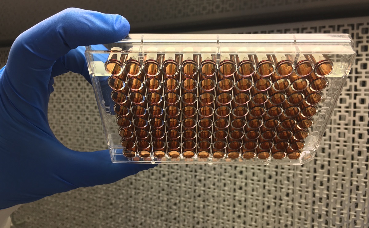 Primordial goo used to improve implants - CSIRO
