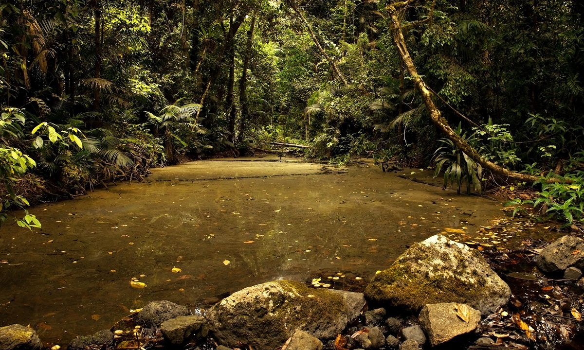 Investing in nature vital to solving climate change - CSIRO