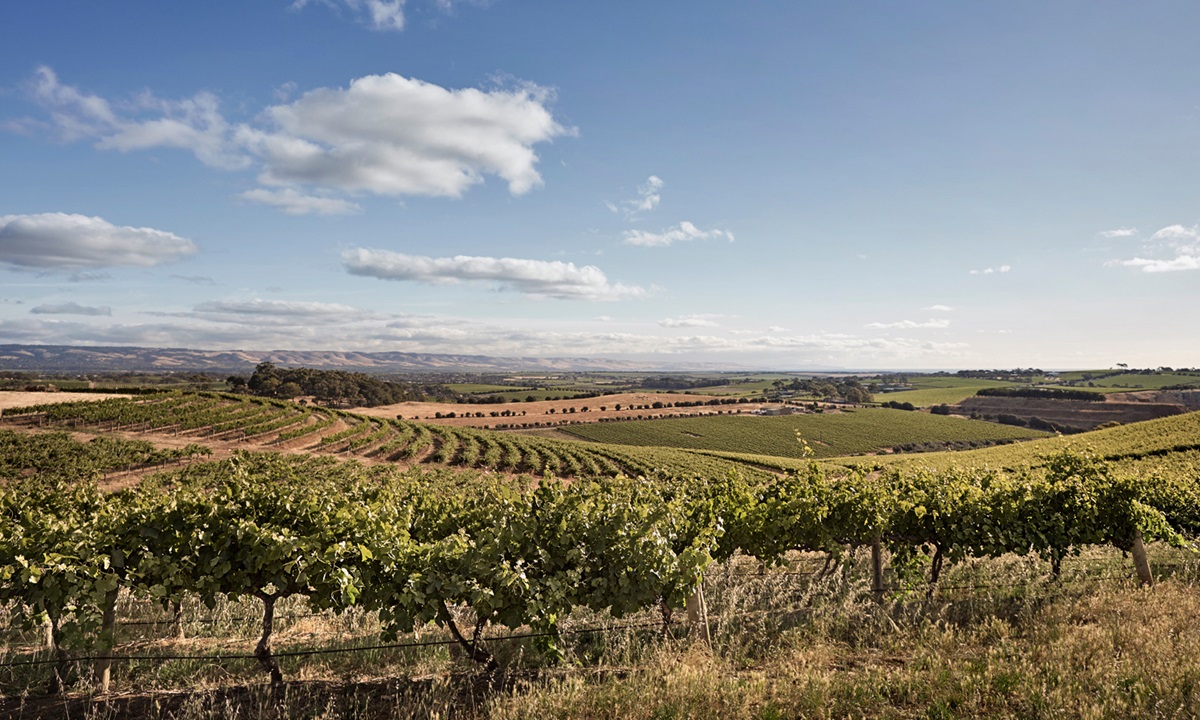 Wine Australia and CSIRO sign $37 million investment agreement - CSIRO