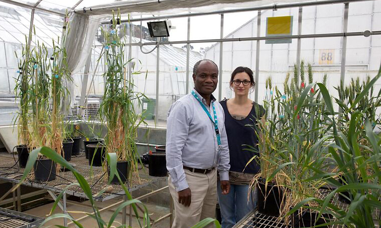 Top awards for CSIRO innovation in 2017 - CSIRO