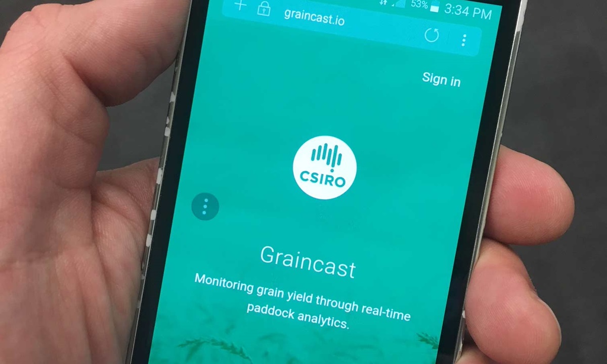 New app gives farmers real-time grain of truth - CSIRO