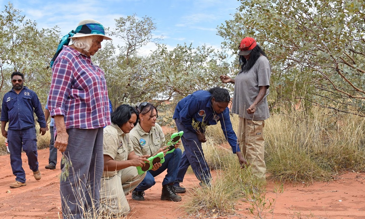 Animal tracking app celebrates trail of success - CSIRO