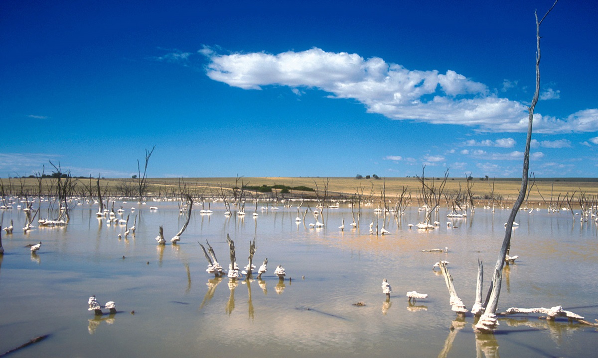 CSIRO wins award for using space tech to solve UN land degradation ...