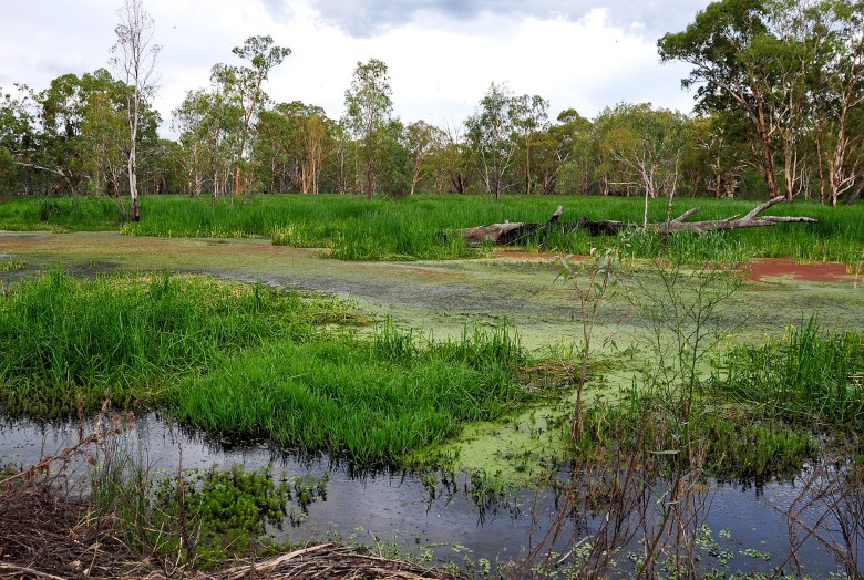 Close eye on Lake Hume water quality this summer - CSIRO
