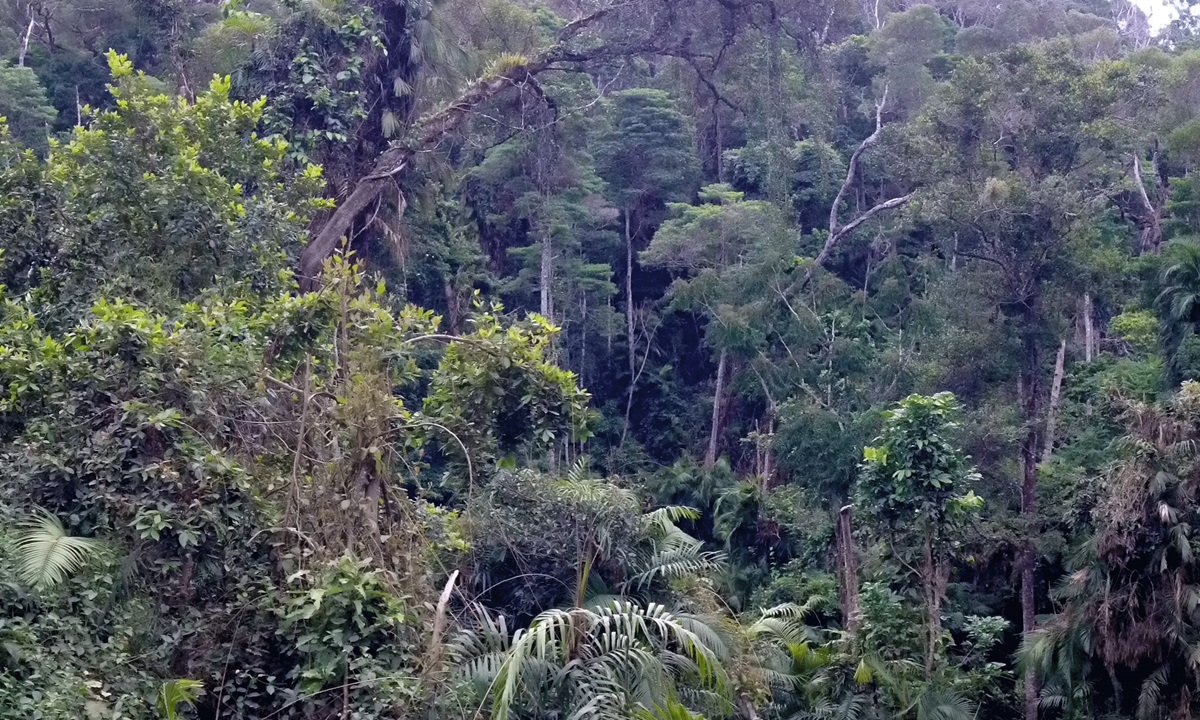 Call of the wild(erness) - CSIRO