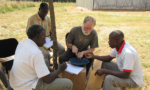 Two CSIRO scientists announced as 2020 fellows by AAAS - CSIRO