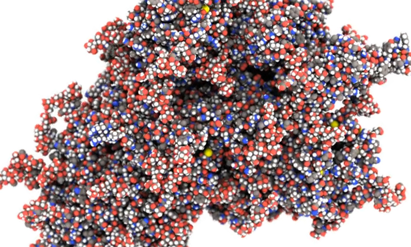 Potential COVID-19 vaccines not affected by dominant ‘G-strain’ - CSIRO