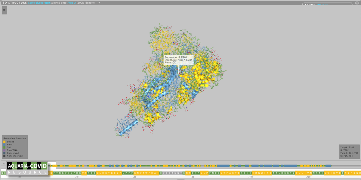 3D analysis of SARS-CoV-2 reveals clues on virus tactics - CSIRO