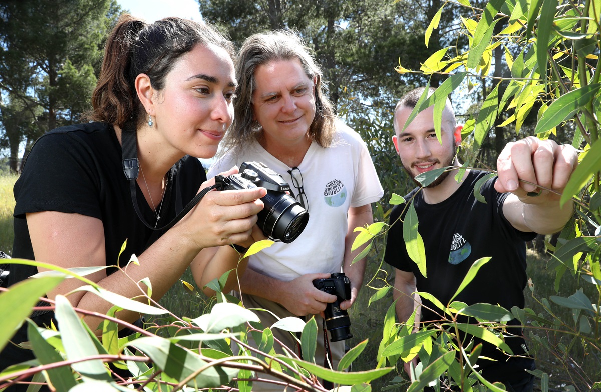 Citizen scientists needed to help record impact of fires on ...