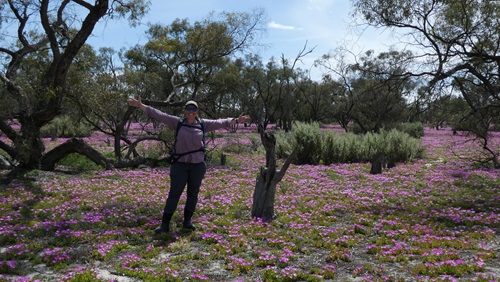 CSIRO superstars set to inspire careers in STEM | Mirage News